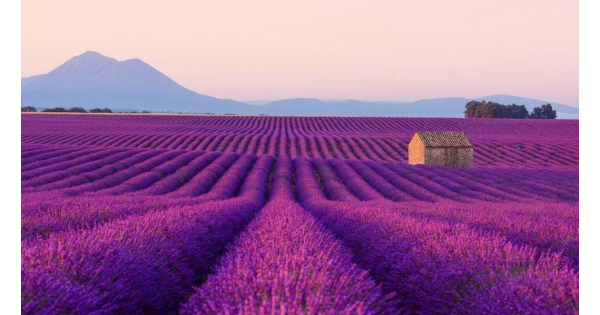 25 Stunning Photos of the Most Colorful Places on Earth | Yaknia.com